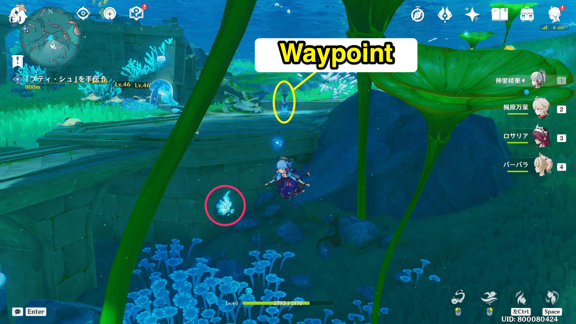 Genshin Impact | Beryl Conch Location & How To Get - GameWith