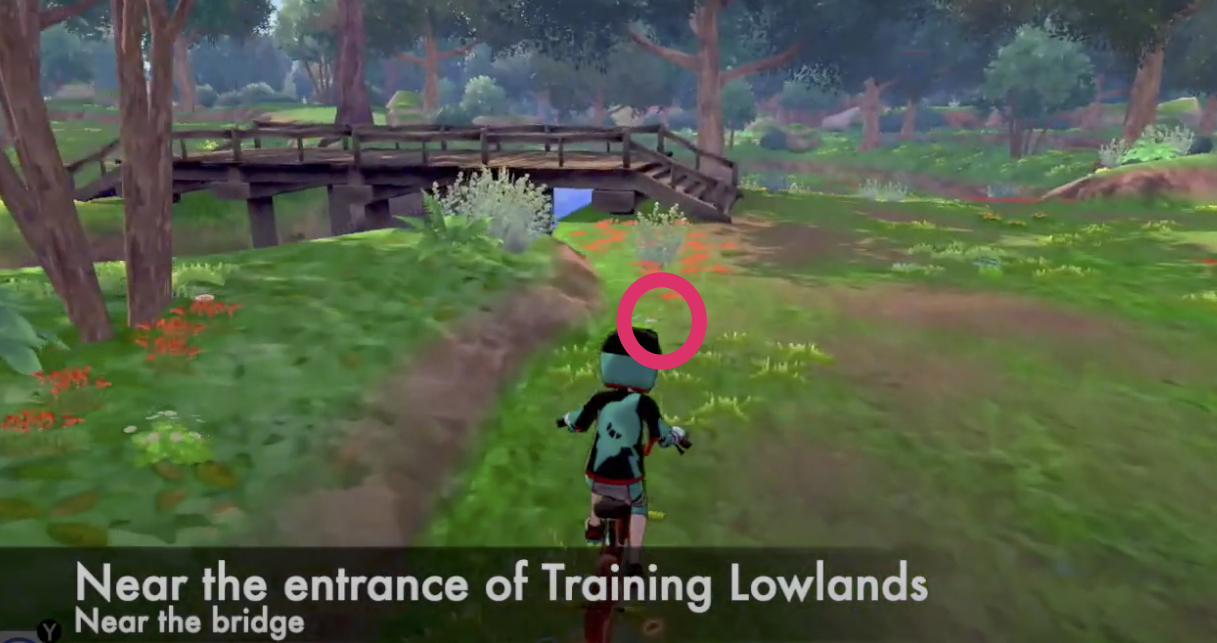 Isle Of Armor | Forest of Focus (Wild Area) - Pokemon Spawn Location ...